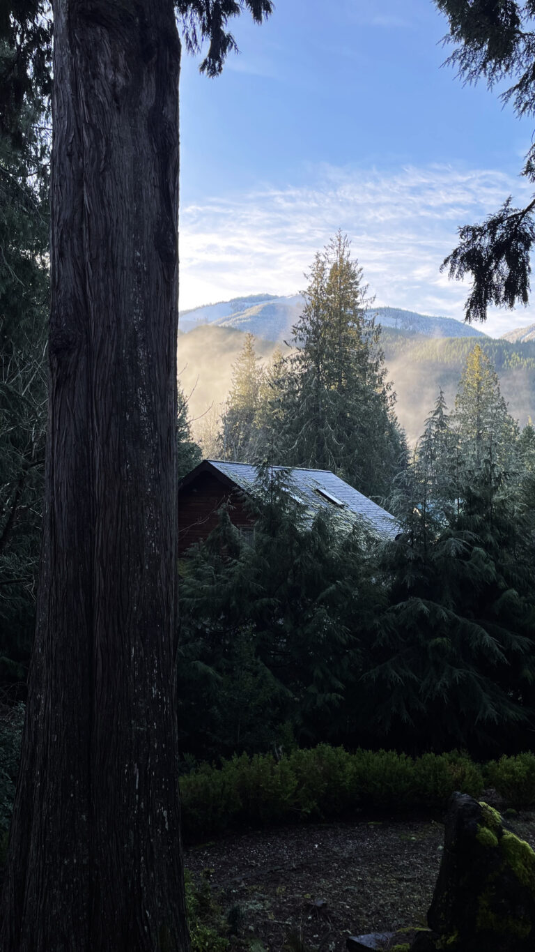 Life, Lately: A Cozy Holiday at Home & A New Year Getaway | Lark ...